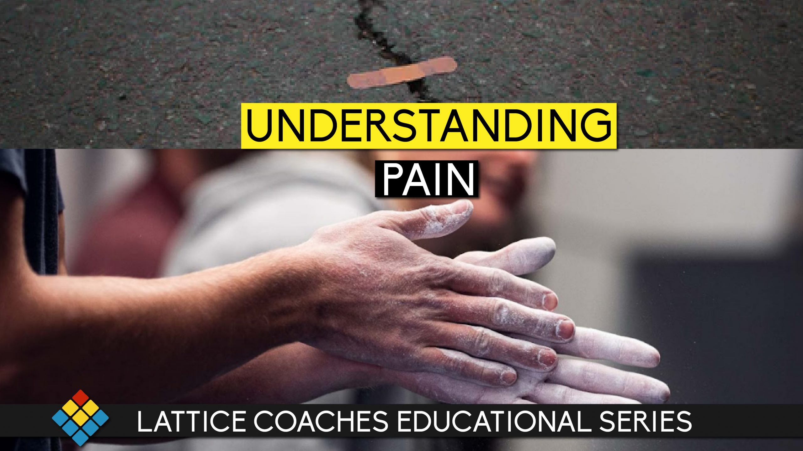 Understanding Pain - Lattice Training