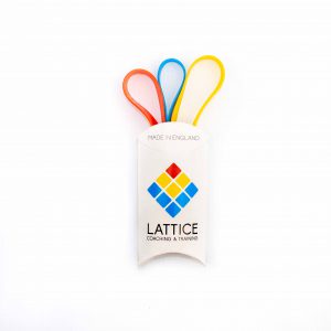 Extensor Bands - Lattice Training