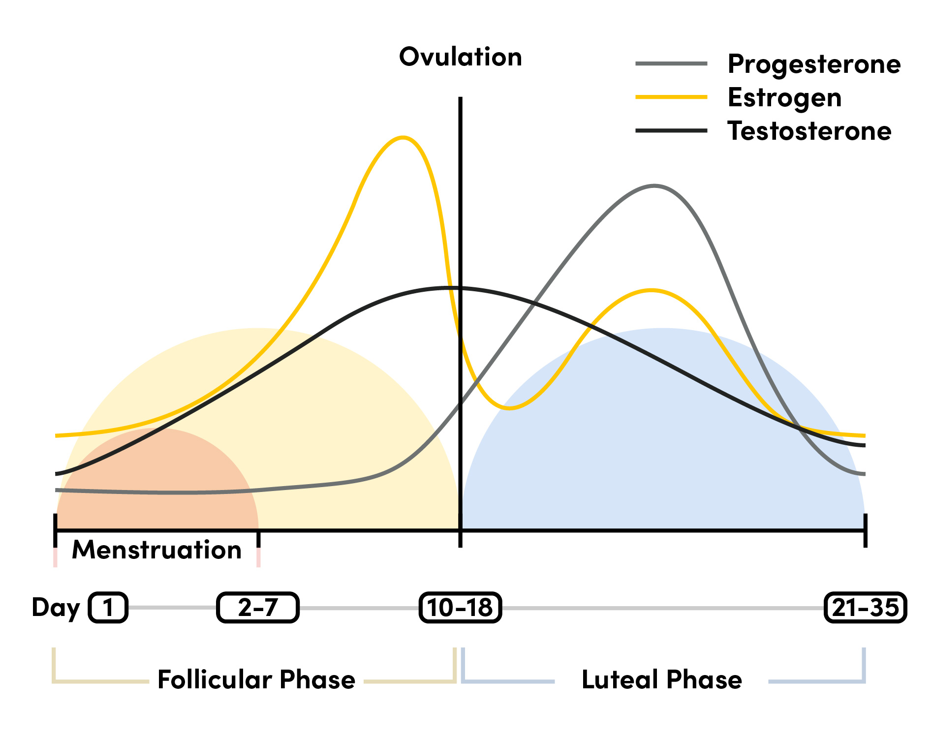 Improve Your Training by Tracking Your Menstrual Cycle