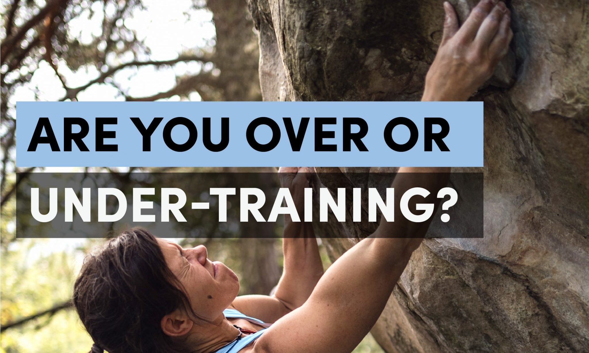 Are you Over or Under-Training? - Lattice Training